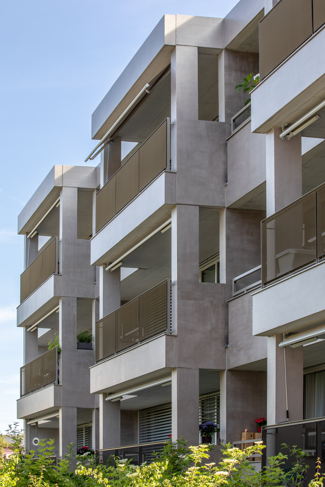 #601 Obstgarten – ARCHPLAN AG ARCHITEKTEN